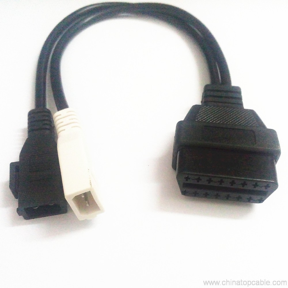 VAG 2x2 2x2 to 16 Pin OBDII OBD2 Diagnostic Adaptor Cable - Hengye ...