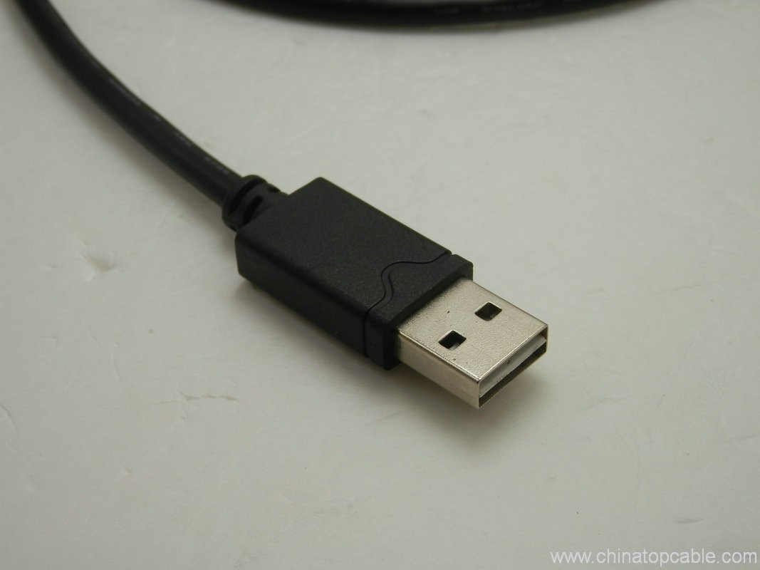 USB 3.1 Cm to Reversible USB 2.0 Am Cable 1m - Hengye Cable Factory Store