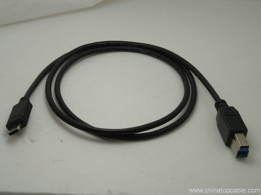 USB3.1 CM TO BM Cable 1m - Hengye Cable Factory Store