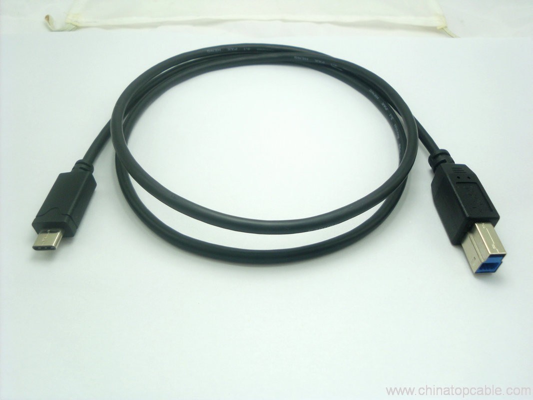 USB3.1 CM TO BM Cable 1m - Hengye Cable Factory Store